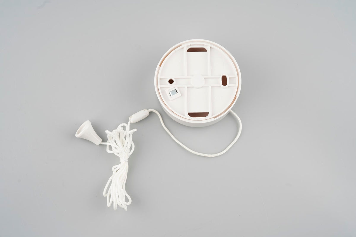 6AX 1-Way Ceiling Pull Cord Switch – Surya Tech Limited